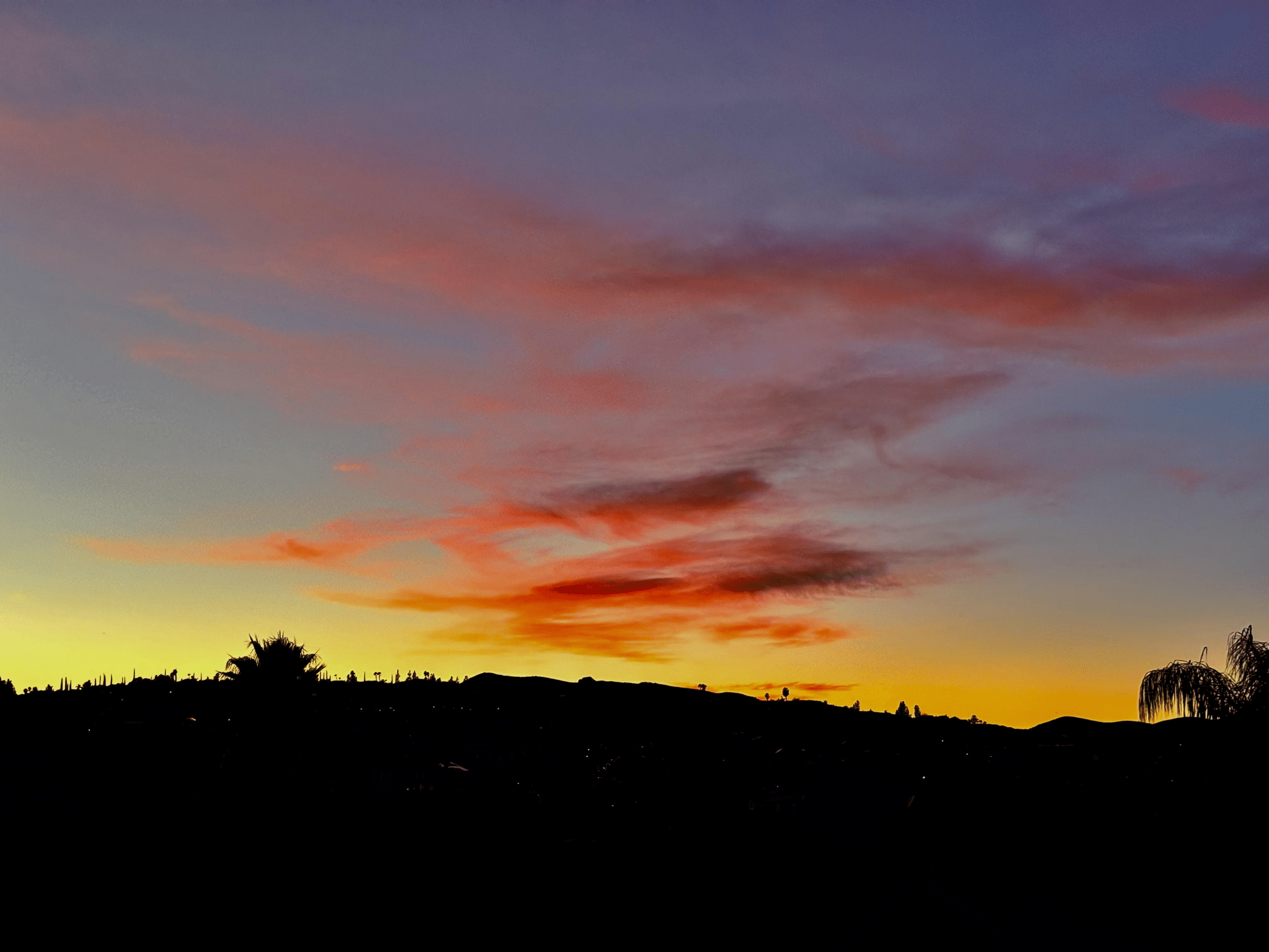 Terrific Tuesday – Love Life with Dawna