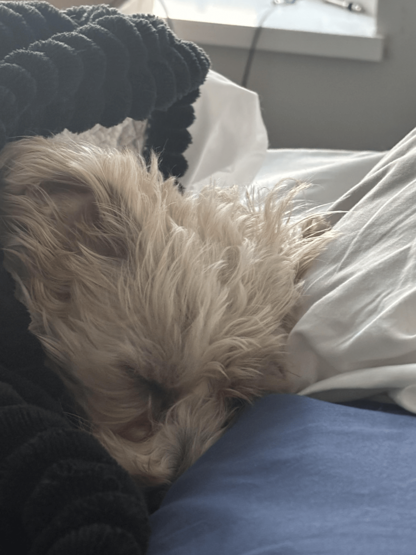 Wonderful Wednesday – Love Life with Dawna